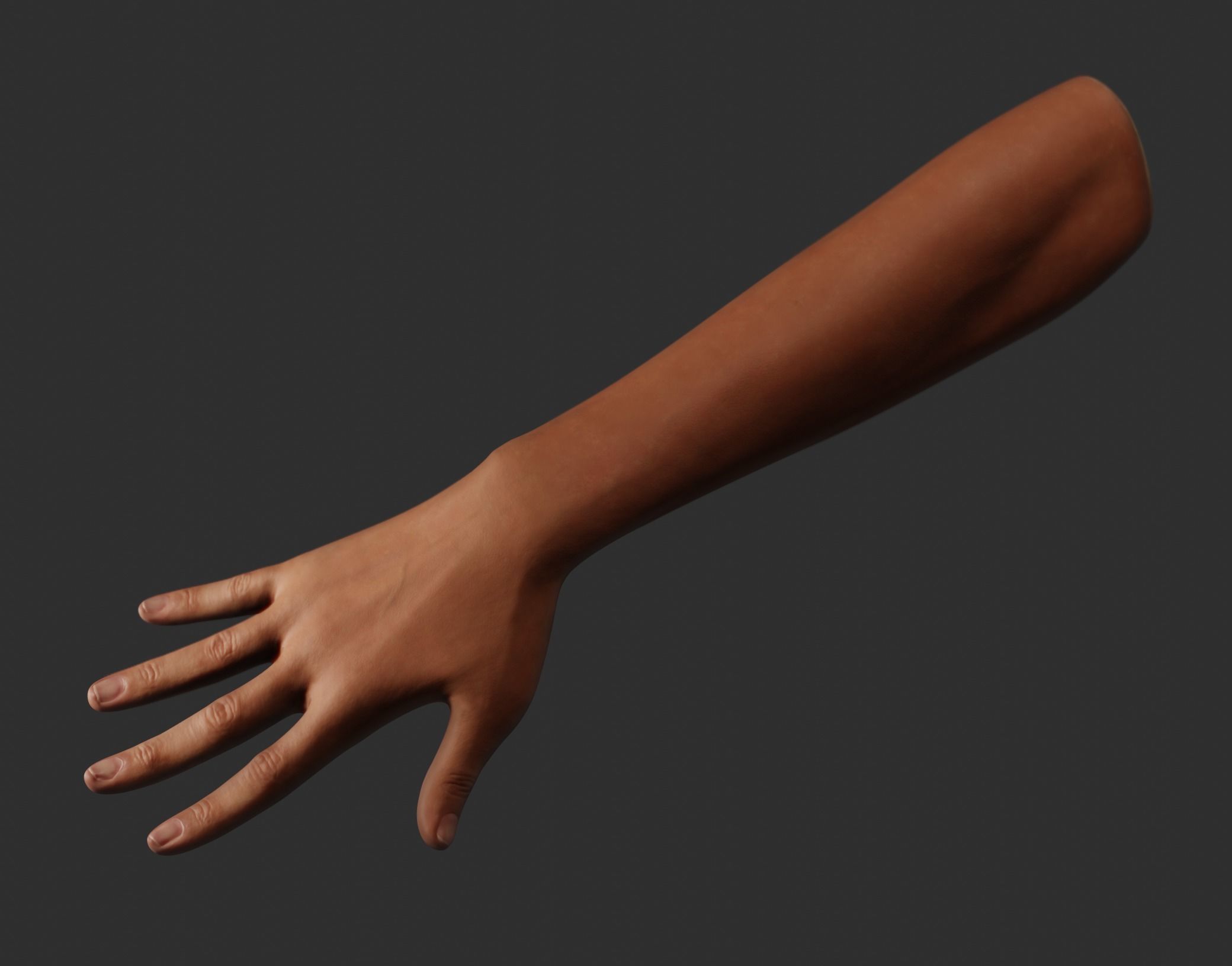 Female Right Hand 3D model | CGTrader