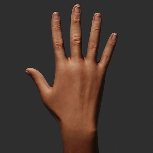Female Right Hand 3D model | CGTrader