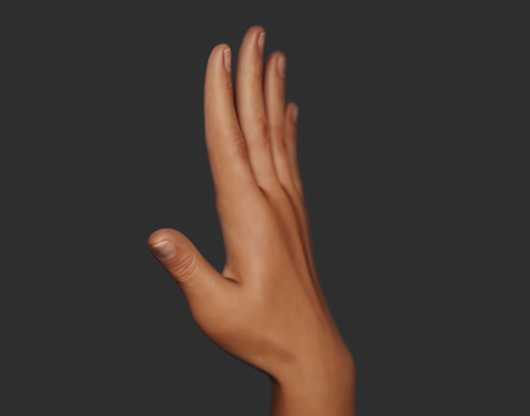 Female Right Hand 3D model | CGTrader