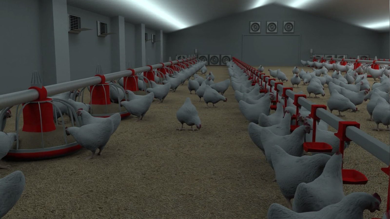 Poultry farm with rigged and animated chickens 3D model animated rigged ...