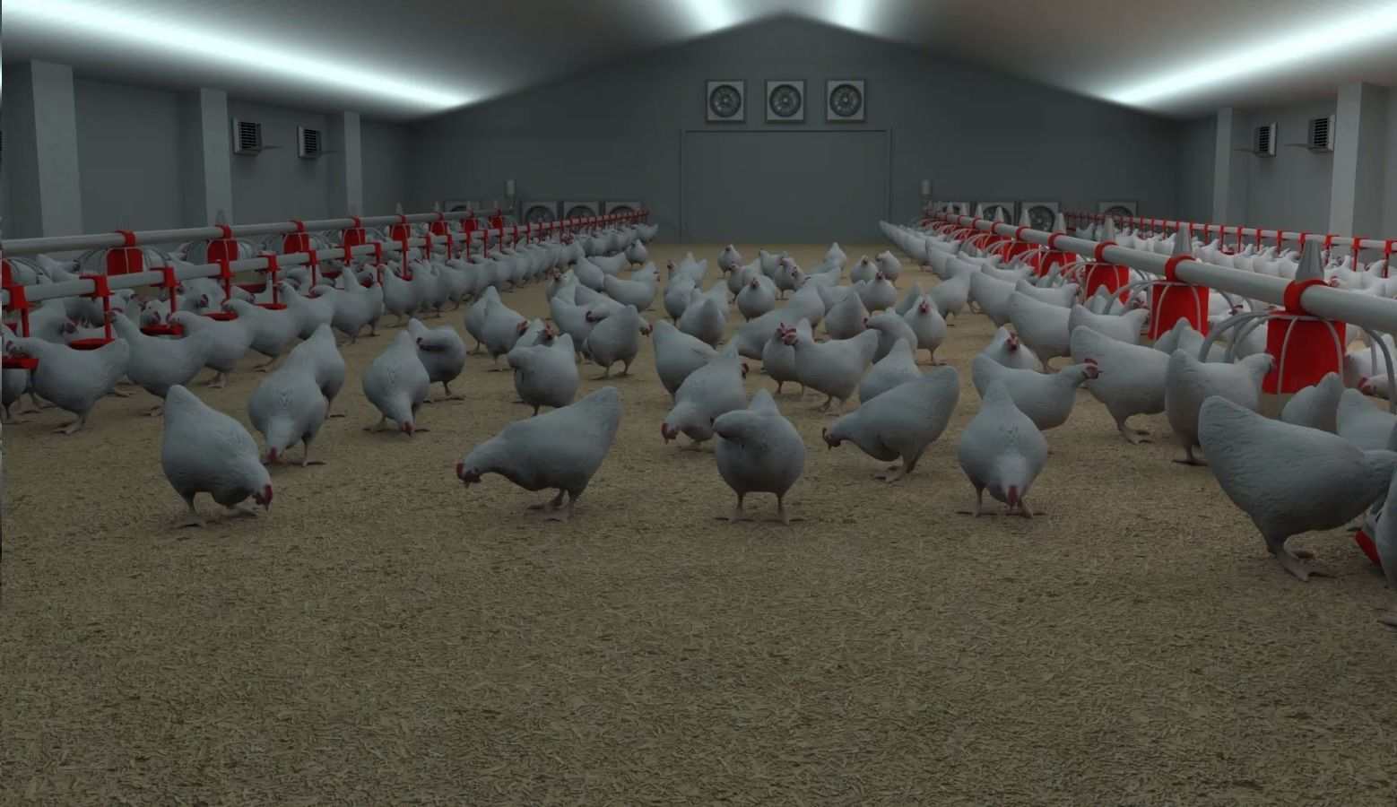 Poultry farm with rigged and animated chickens 3D model animated rigged ...