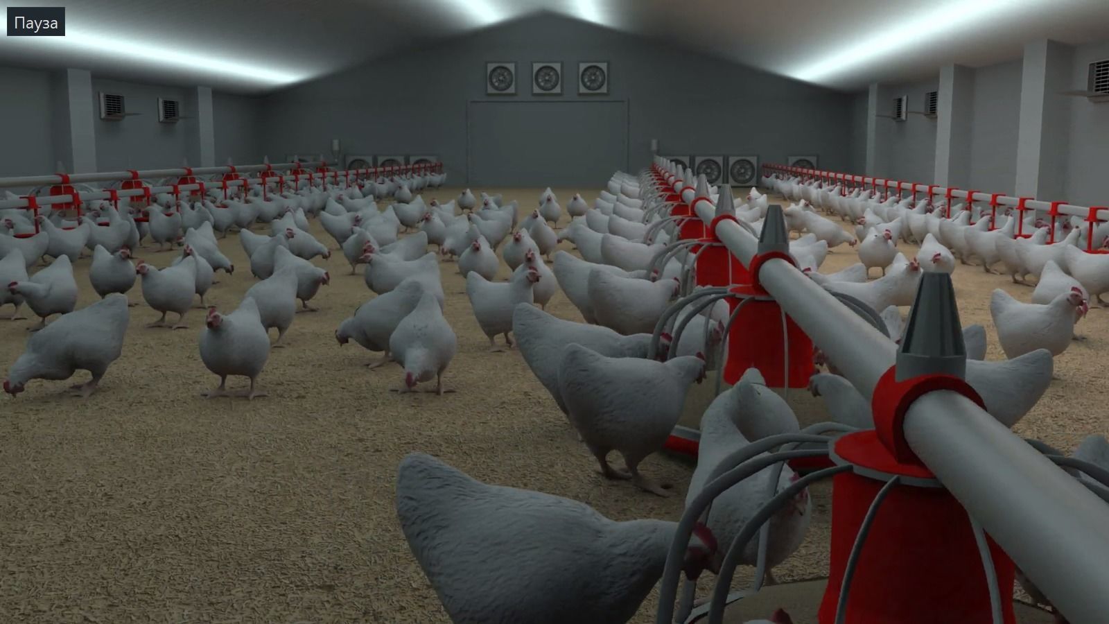 Poultry farm with rigged and animated chickens 3D model animated rigged ...