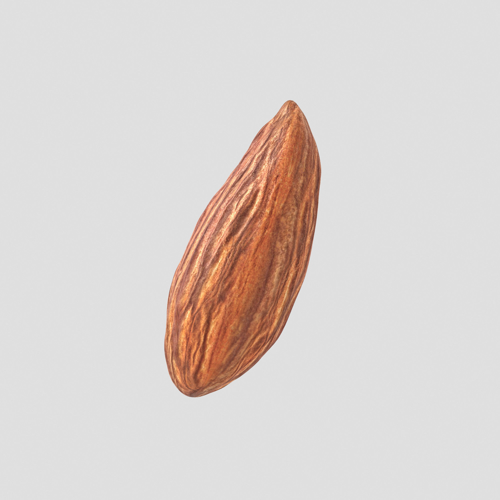 Almond 3D model | CGTrader