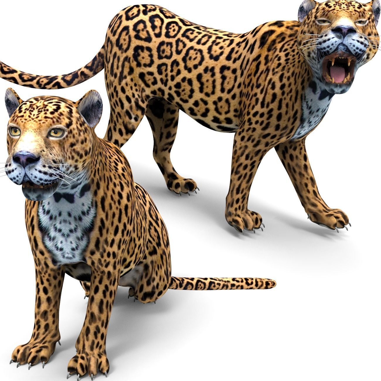 Rigged And Animated Leopard 3D asset | CGTrader