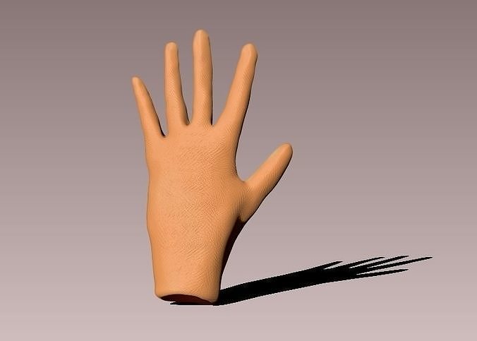 3D model Cartoon Hand model VR / AR / low-poly | CGTrader