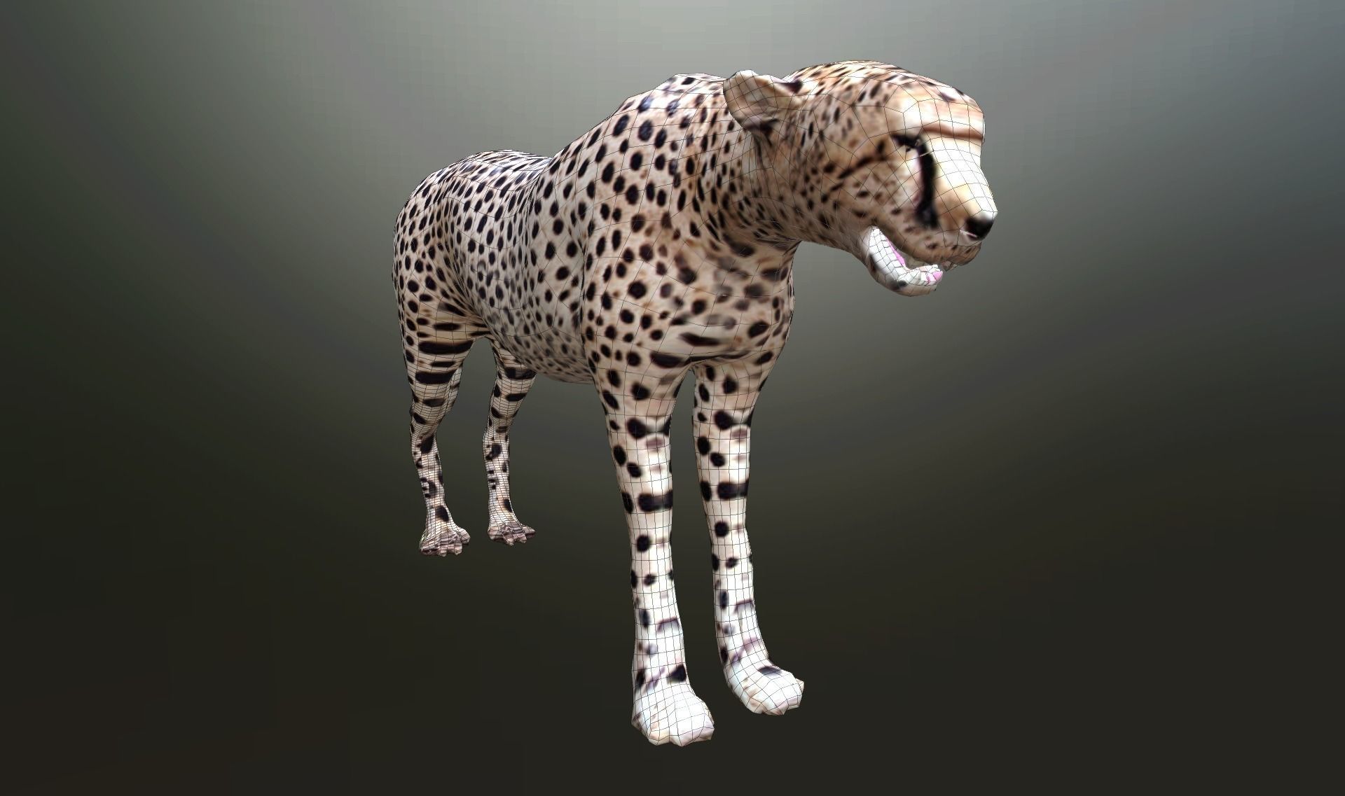 3D model cheetah lowpoly VR / AR / low-poly | CGTrader