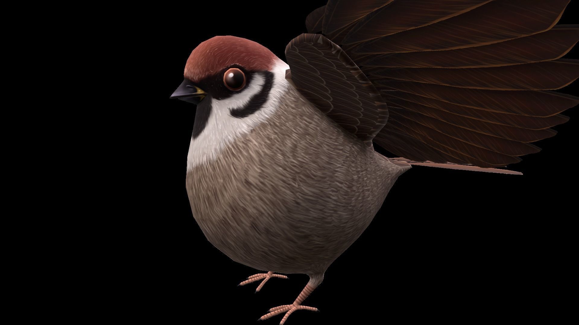 3D model Sparrow bird VR / AR / low-poly | CGTrader