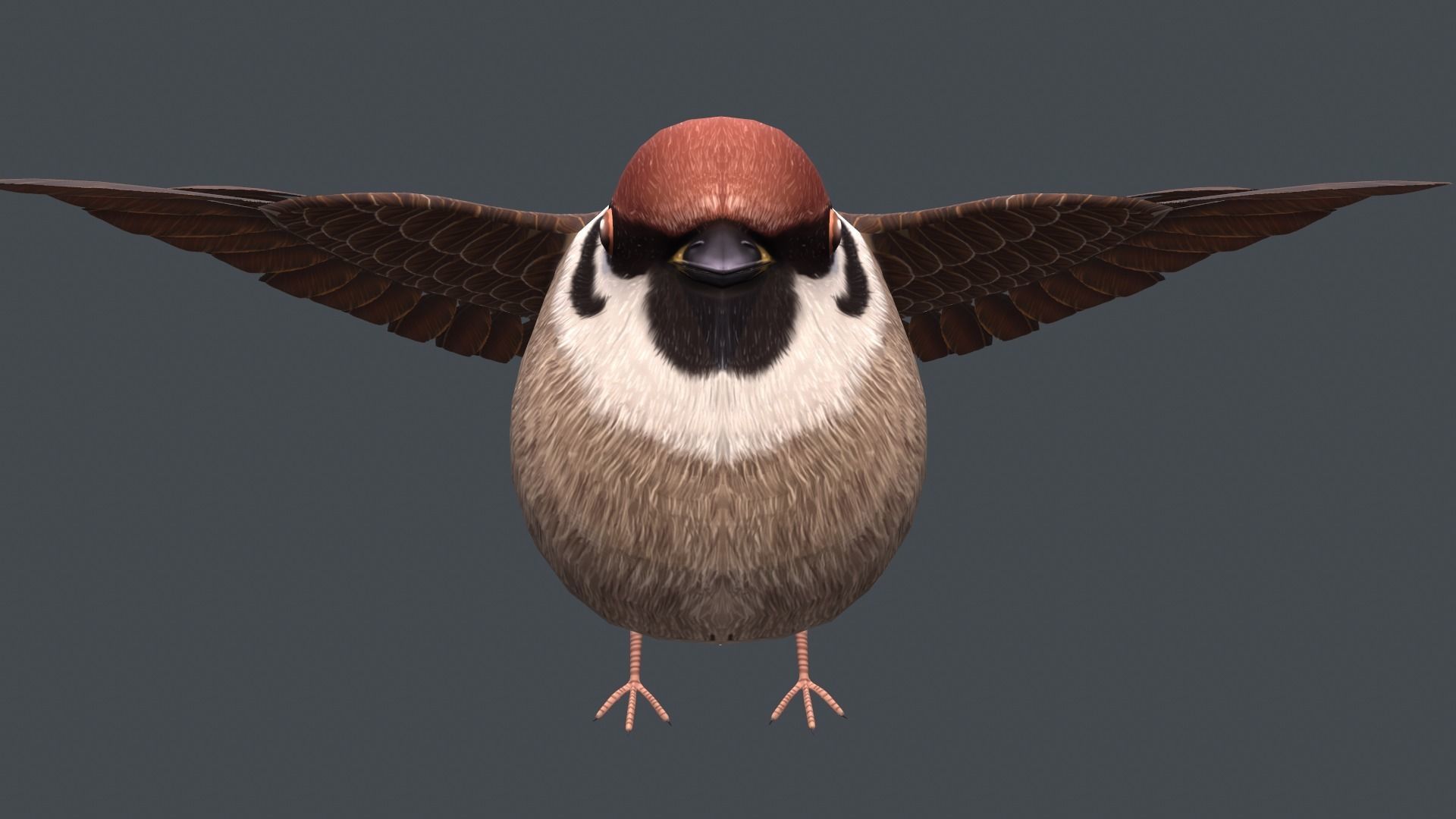 3D model Sparrow bird VR / AR / low-poly | CGTrader