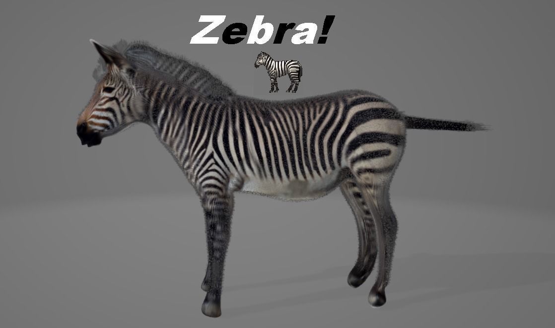 mammal Zebra 3D model | CGTrader
