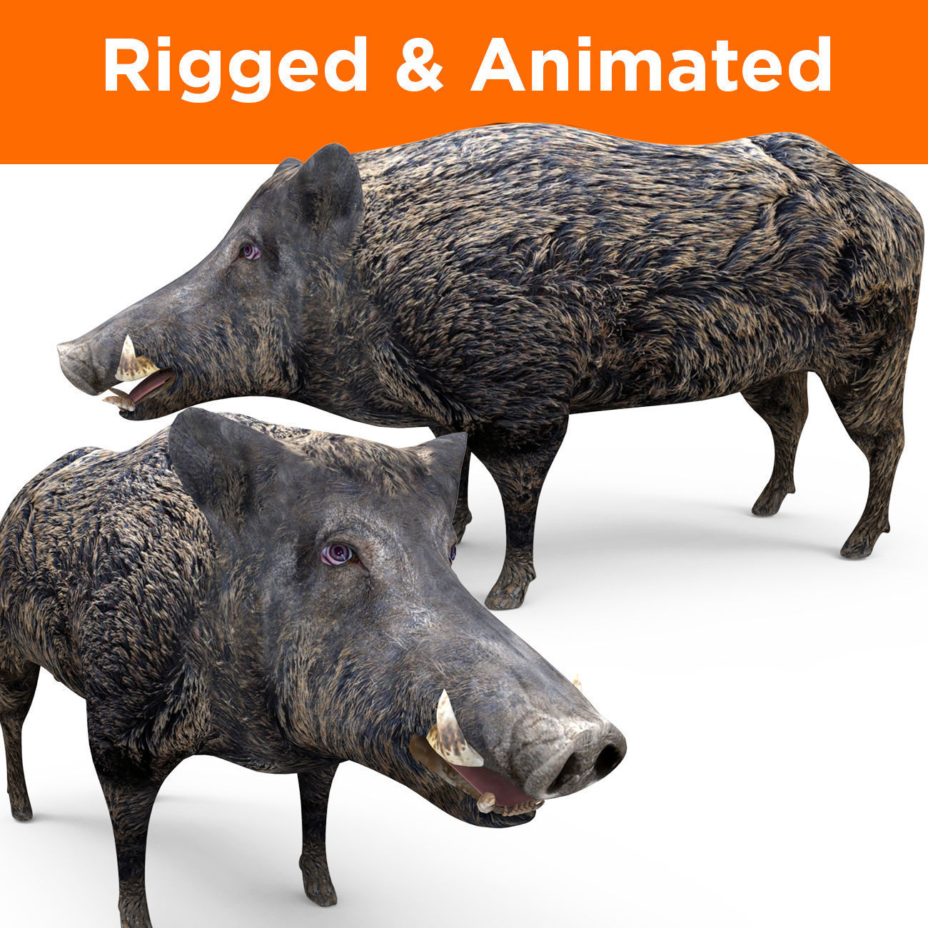 3D model 3D Wild Boar Rigged and Animated VR / AR / low-poly rigged ...