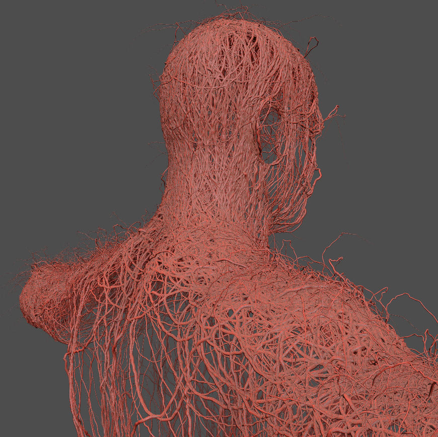 Rigged Ivy Human 3D model rigged | CGTrader