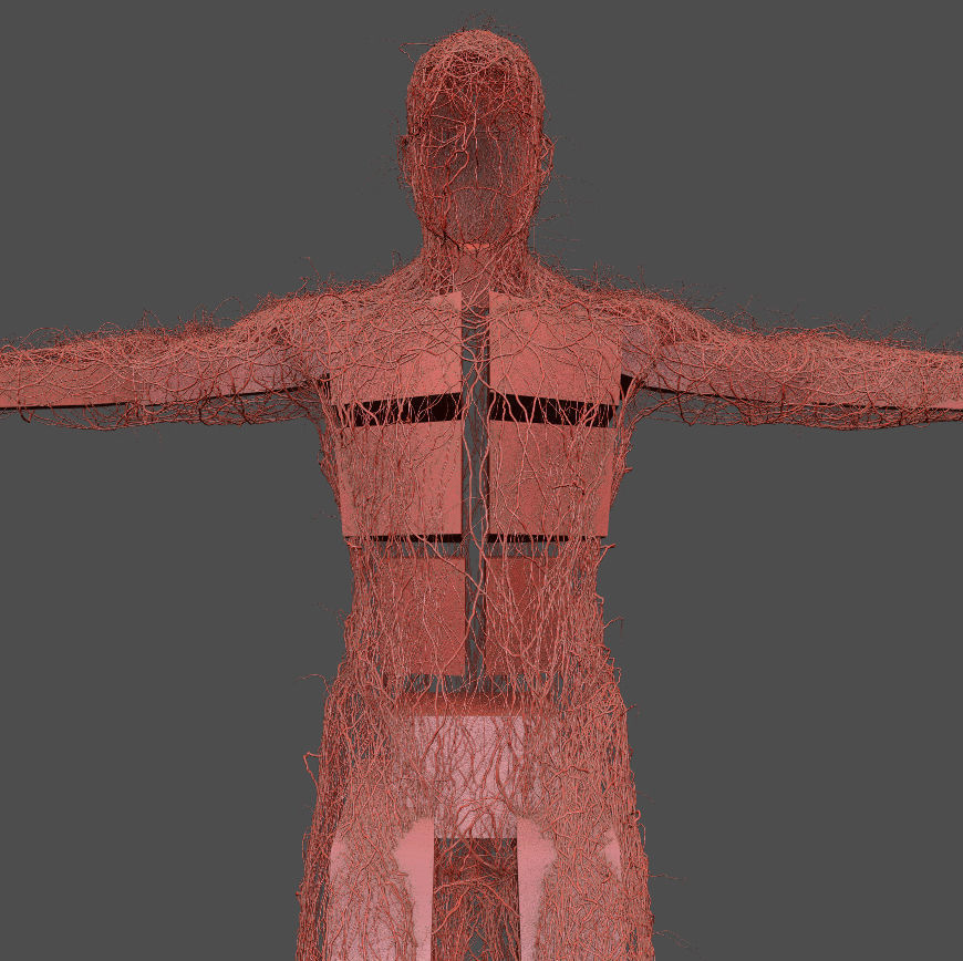 Rigged Ivy Human 3D model rigged | CGTrader