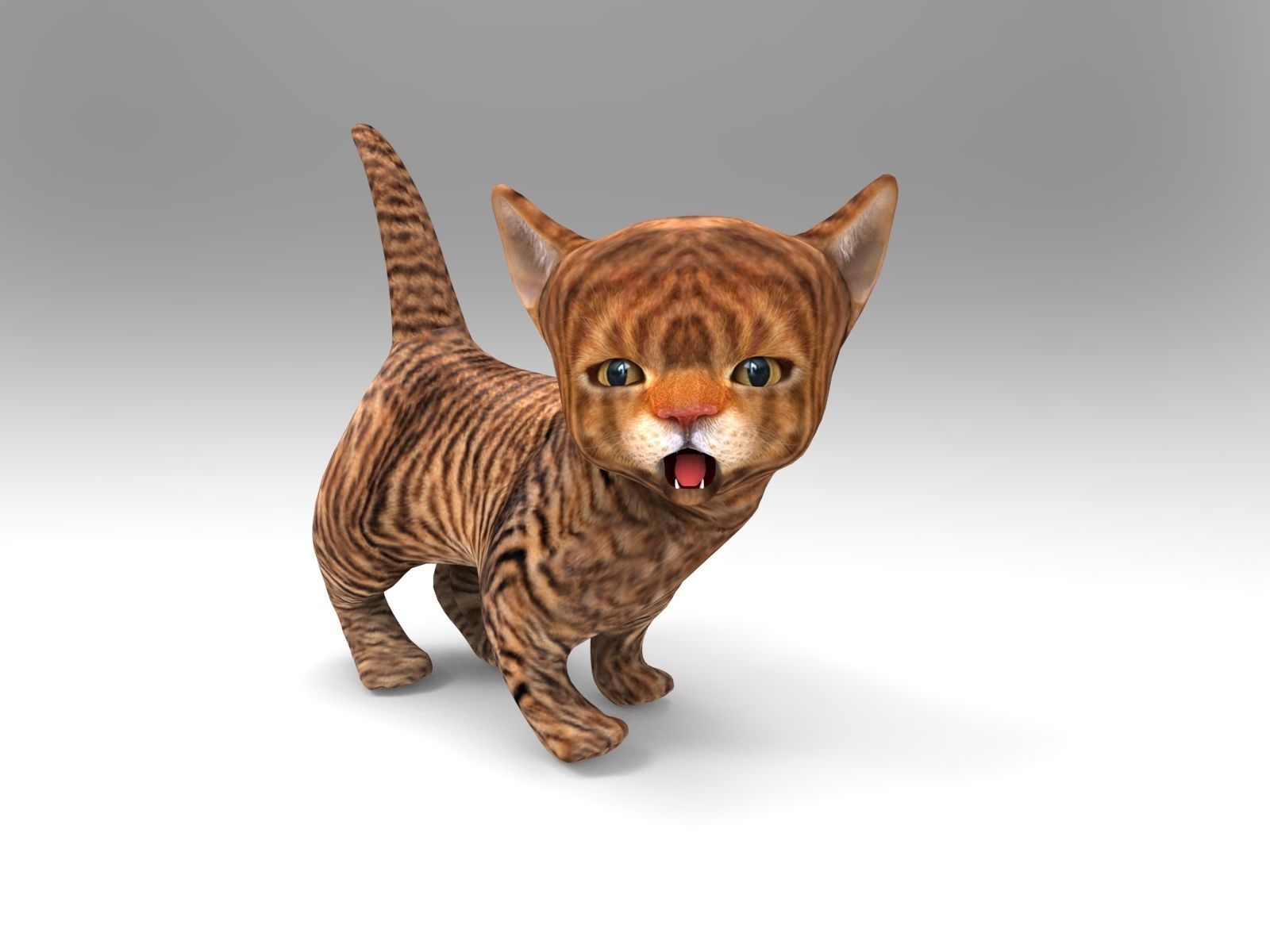 3D model 3D Cartoon Cat Animated Model VR / AR / low-poly rigged ...