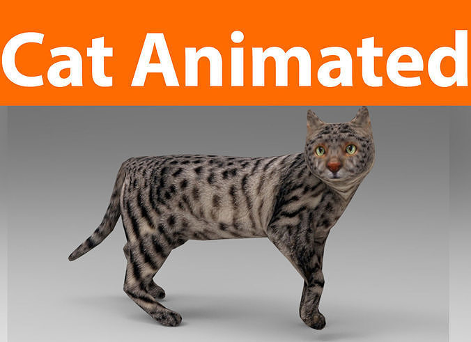 3D model 3d Cat Animated Model low poly VR / AR / low-poly rigged ...