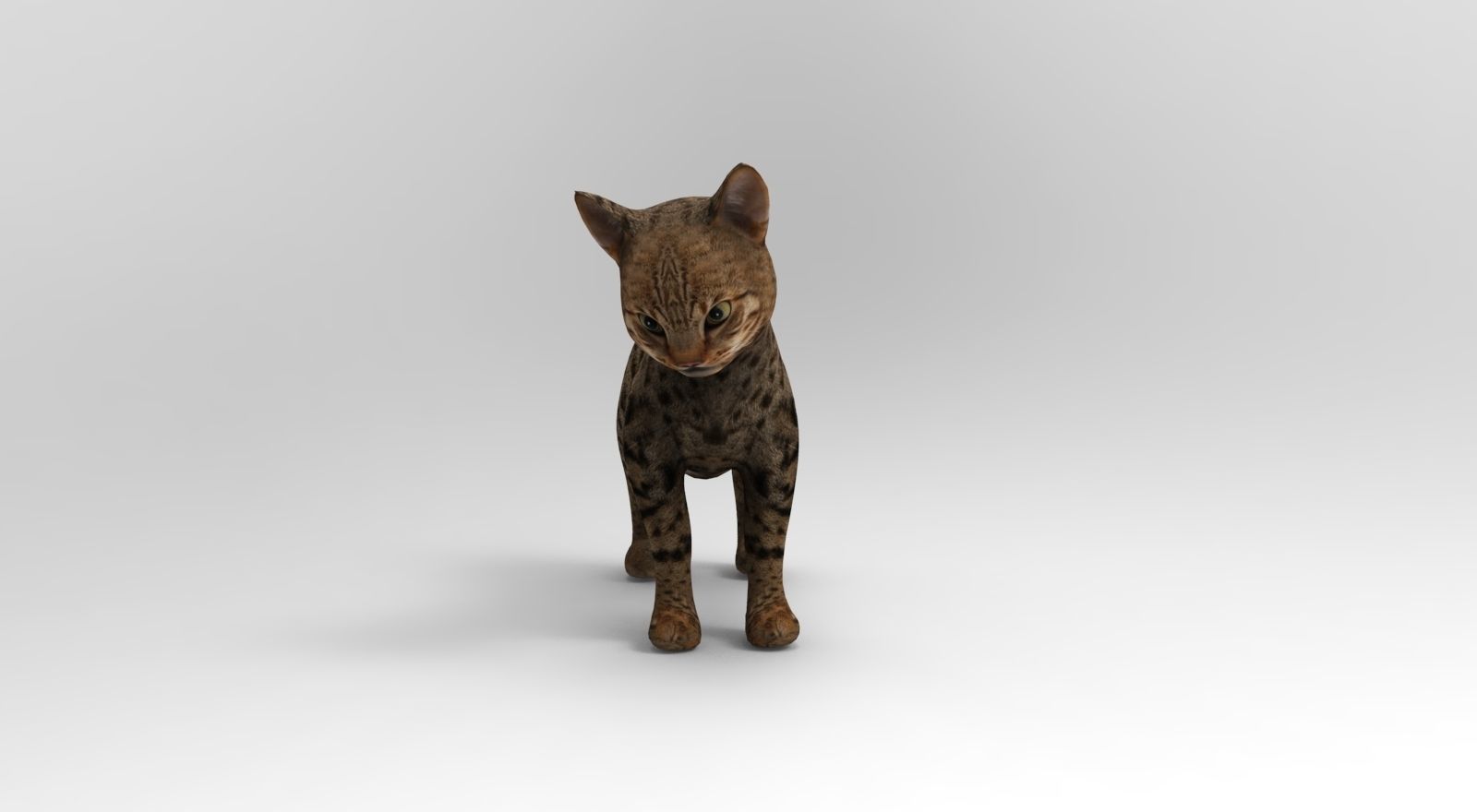 3D model 3d Cat Animated Rigged low poly VR / AR / low-poly rigged ...