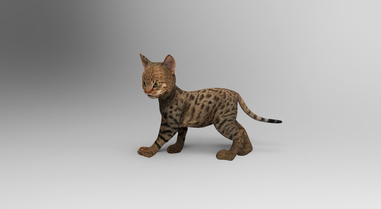 3D model 3d Cat Animated Rigged low poly VR / AR / low-poly rigged ...