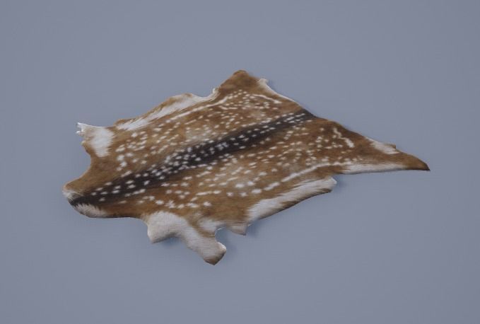3D model Animal Pelt Hide - 2 Variations VR / AR / low-poly | CGTrader