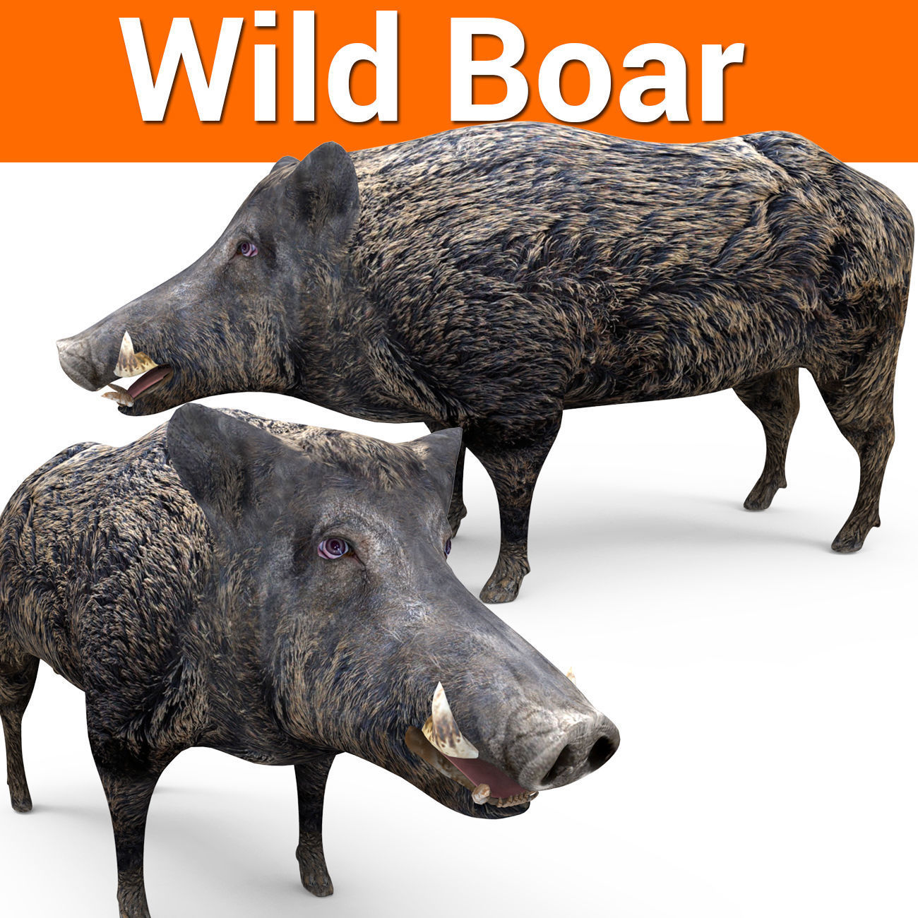3D model 3D game ready Wild Boar VR / AR / low-poly | CGTrader