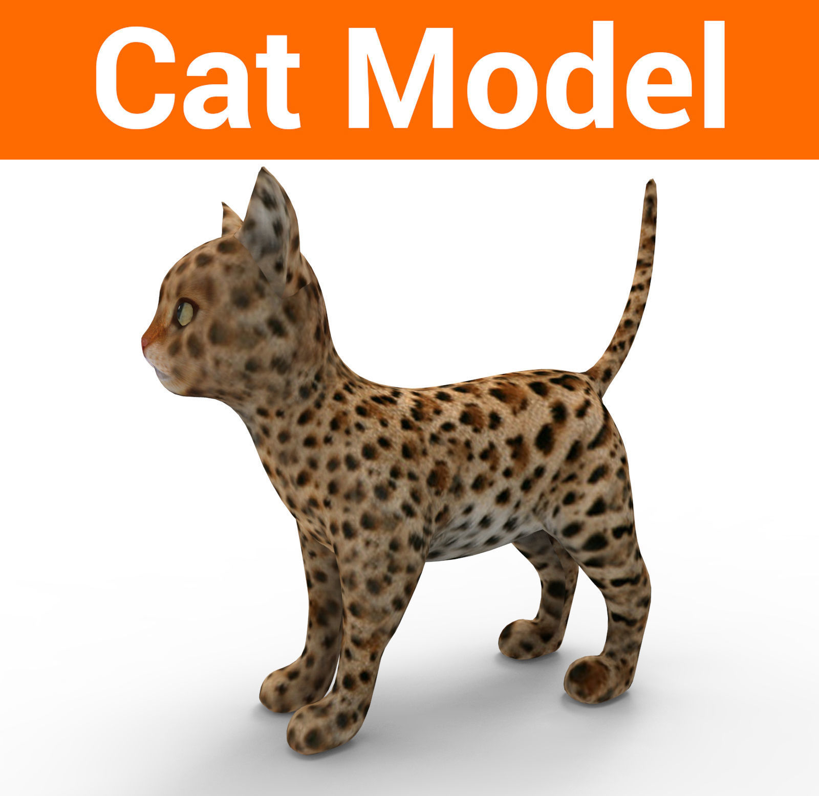 3D model 3d Pet Cat low poly game ready VR / AR / low-poly | CGTrader