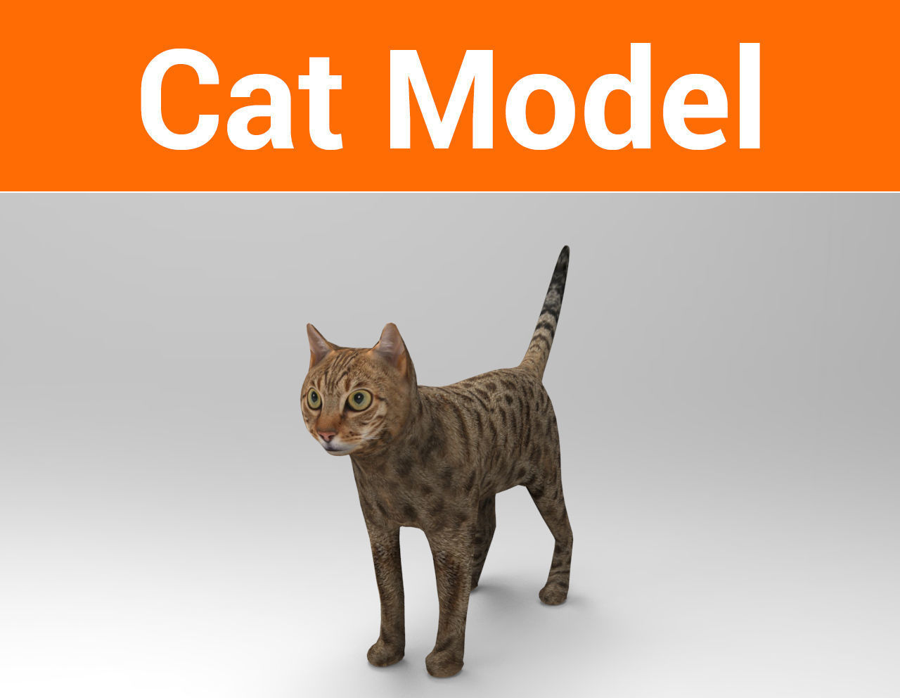 game-ready 3D Cat game ready low poly model | CGTrader