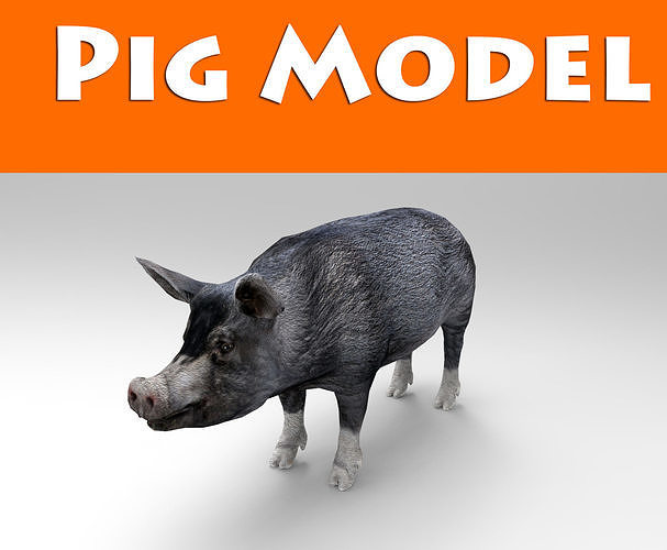 3D model 3D Black Wild Pig game ready low poly VR / AR / low-poly ...