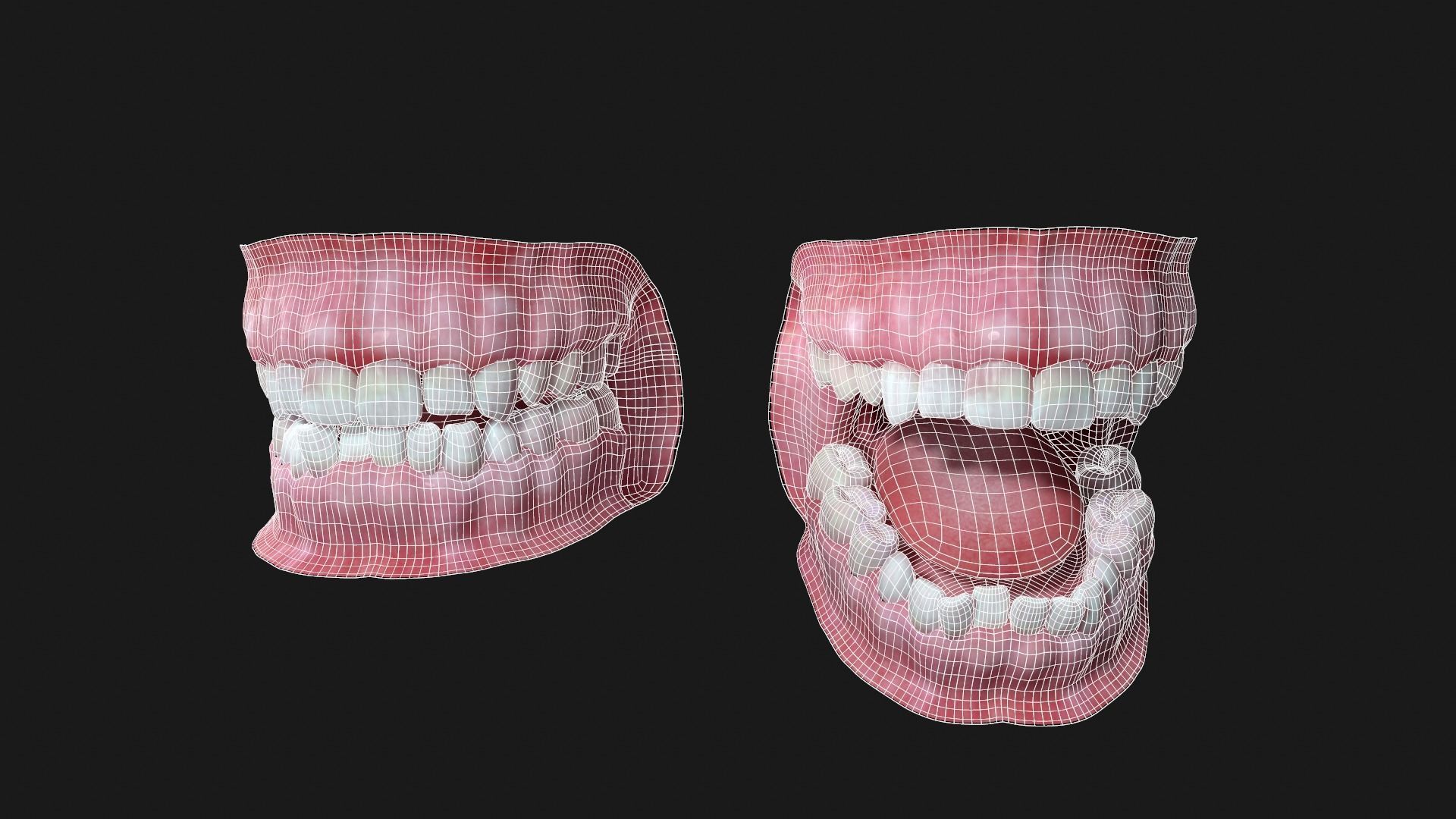 Teeth Asset 3D model | CGTrader