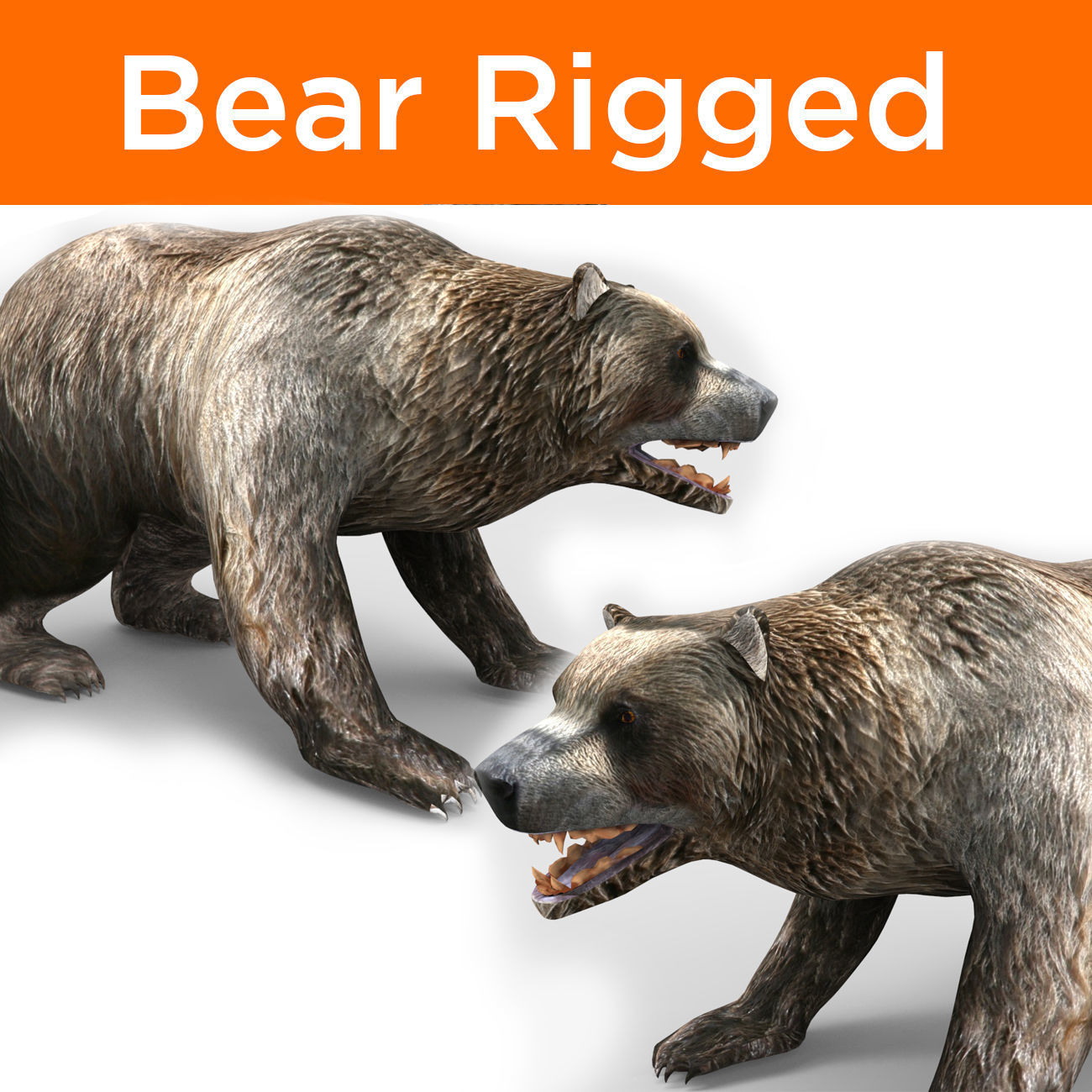 3D model Bear Rigged 3D Models game ready VR / AR / low-poly rigged ...