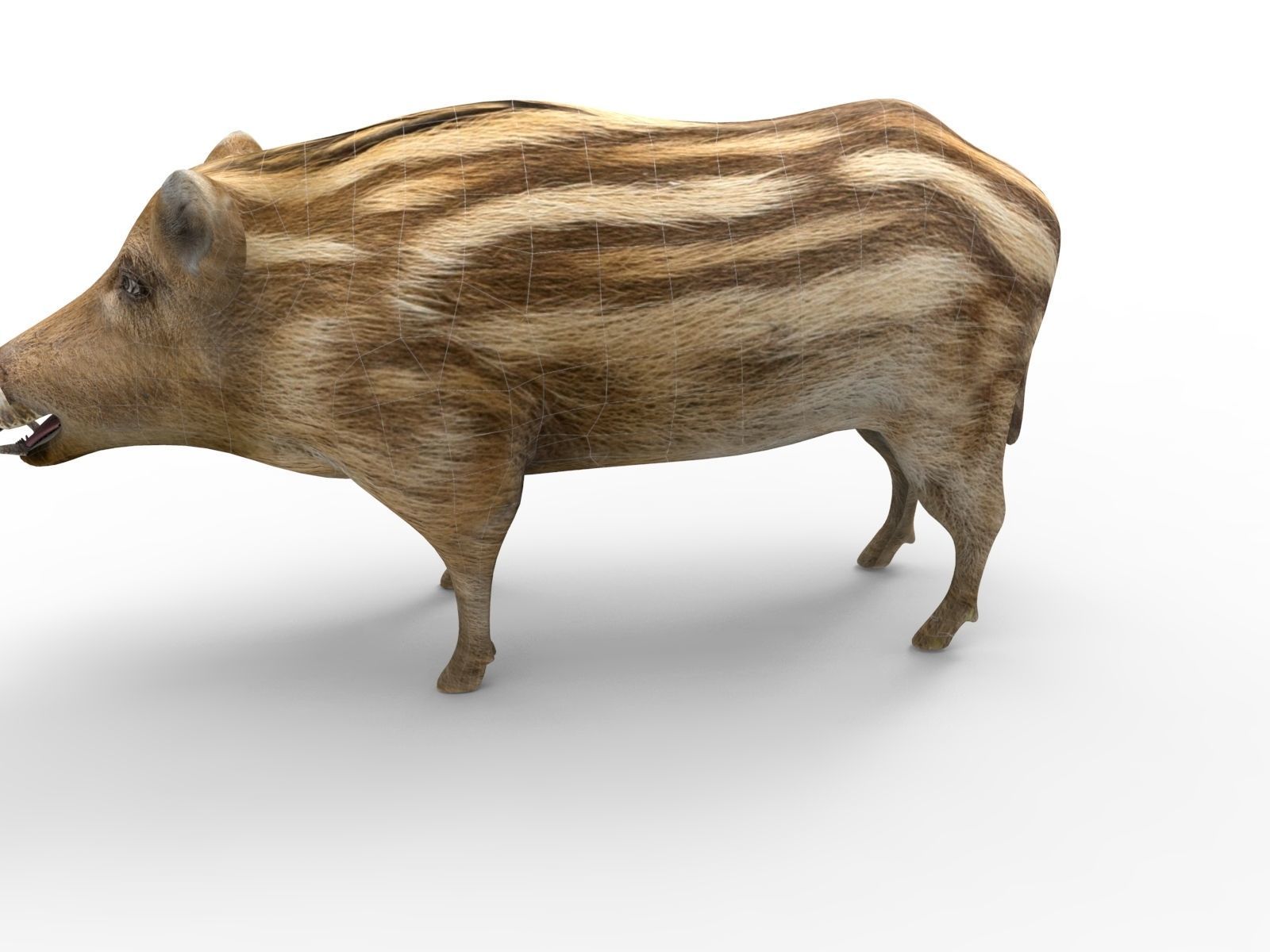 3D model 3D Boar Rigged 3D Models VR / AR / low-poly rigged | CGTrader