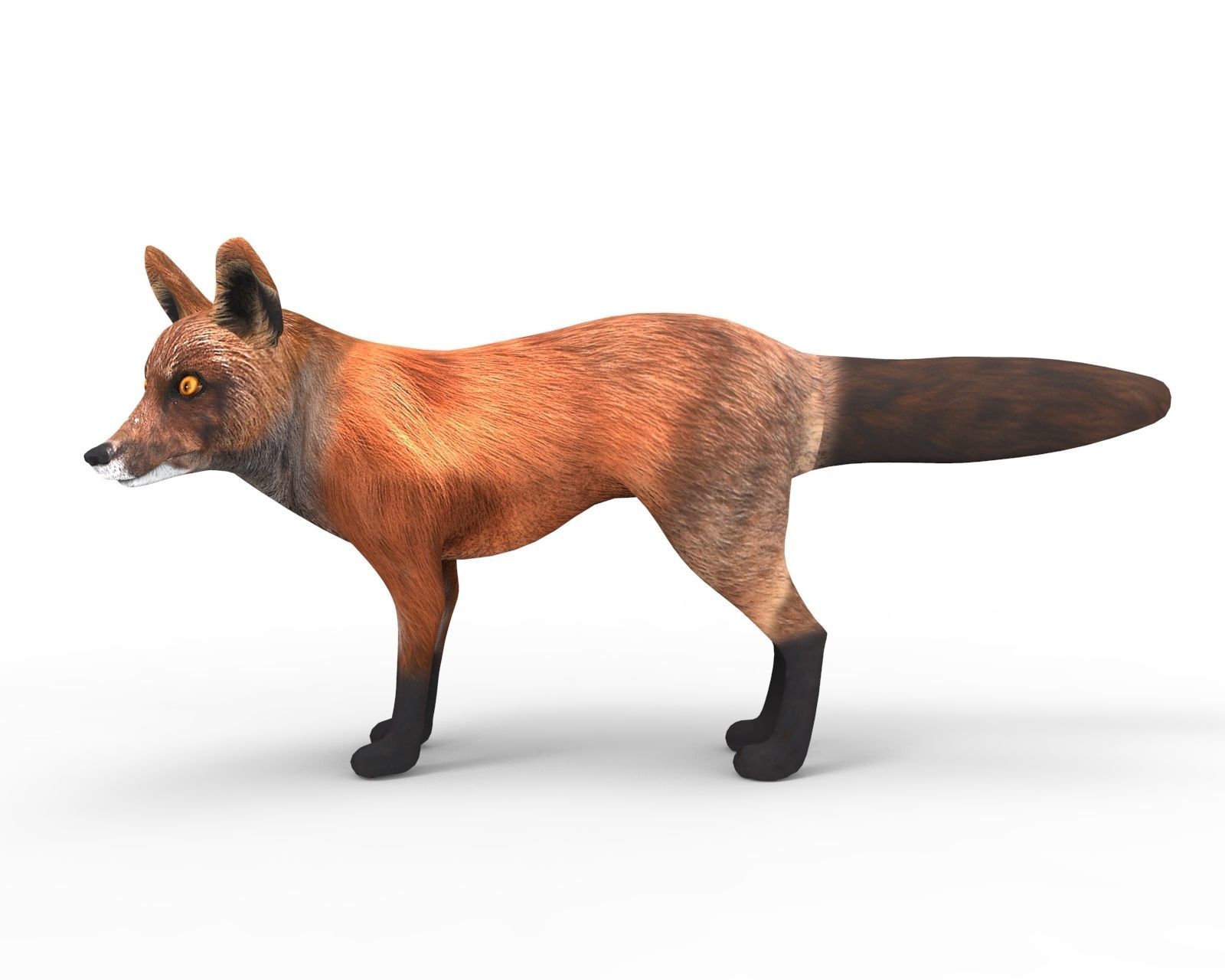 3D model 3D Fox rigged Model VR / AR / low-poly rigged | CGTrader