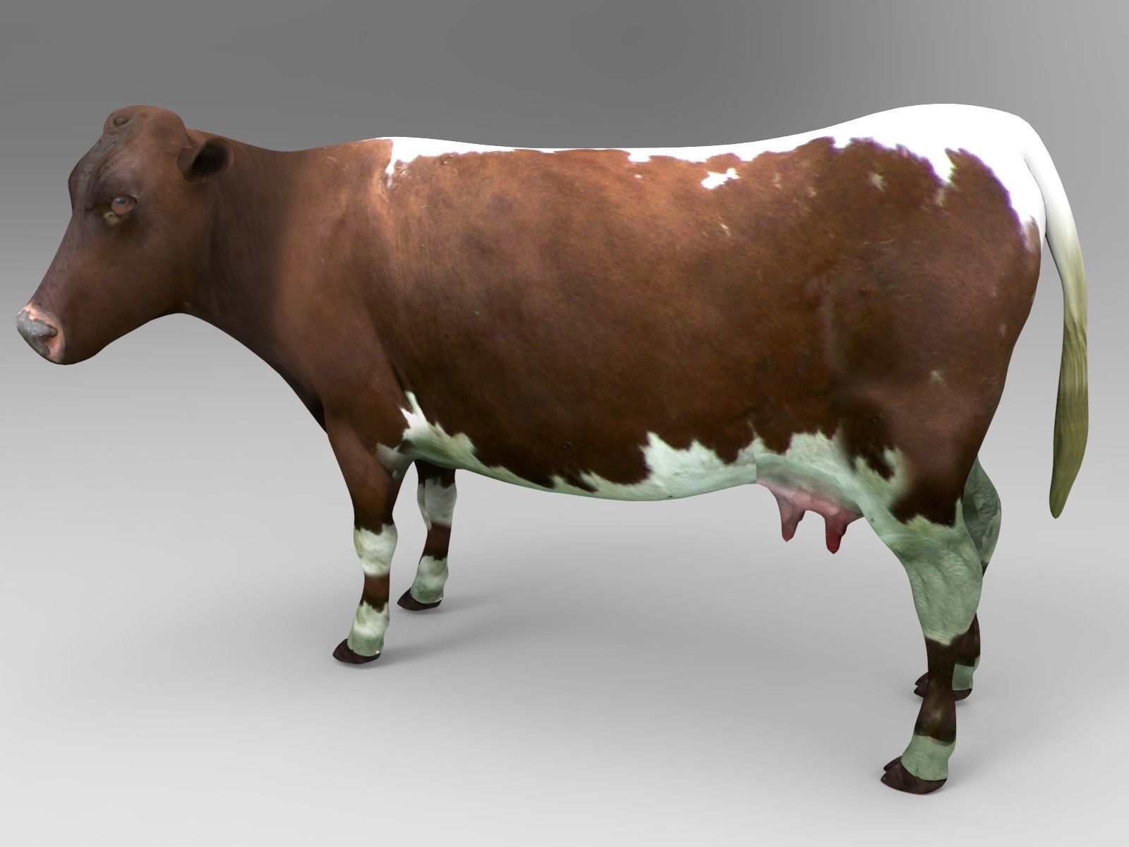 3D model 3D Cow Rigged game ready low poly model VR / AR / low-poly ...