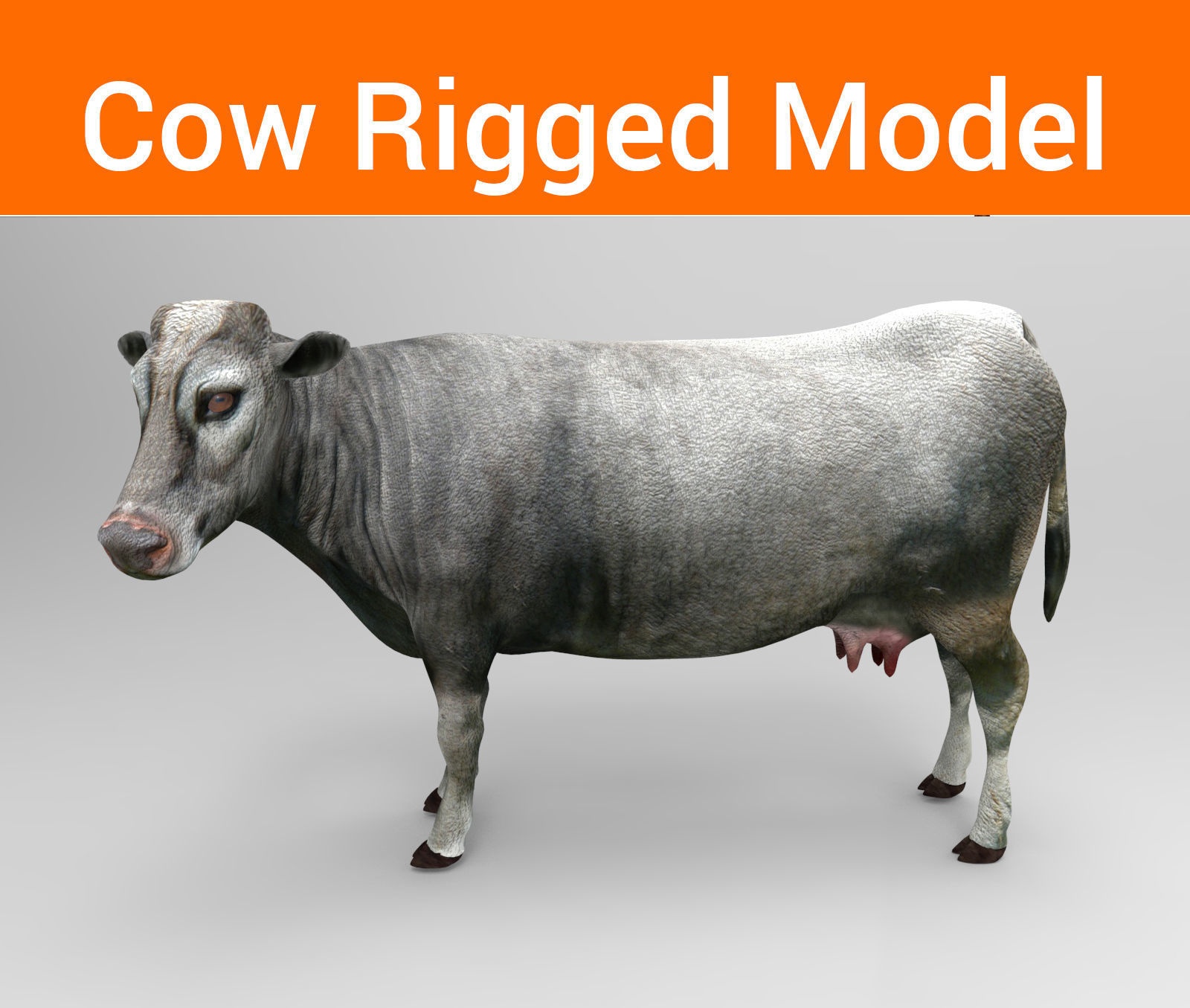 3D model 3D Cow Rigged cattle game ready VR / AR / low-poly rigged ...