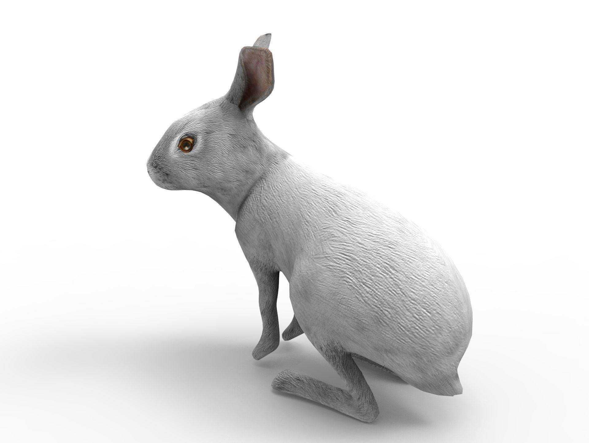 3D model White Rabbit Rigged Low poly model VR / AR / low-poly rigged ...