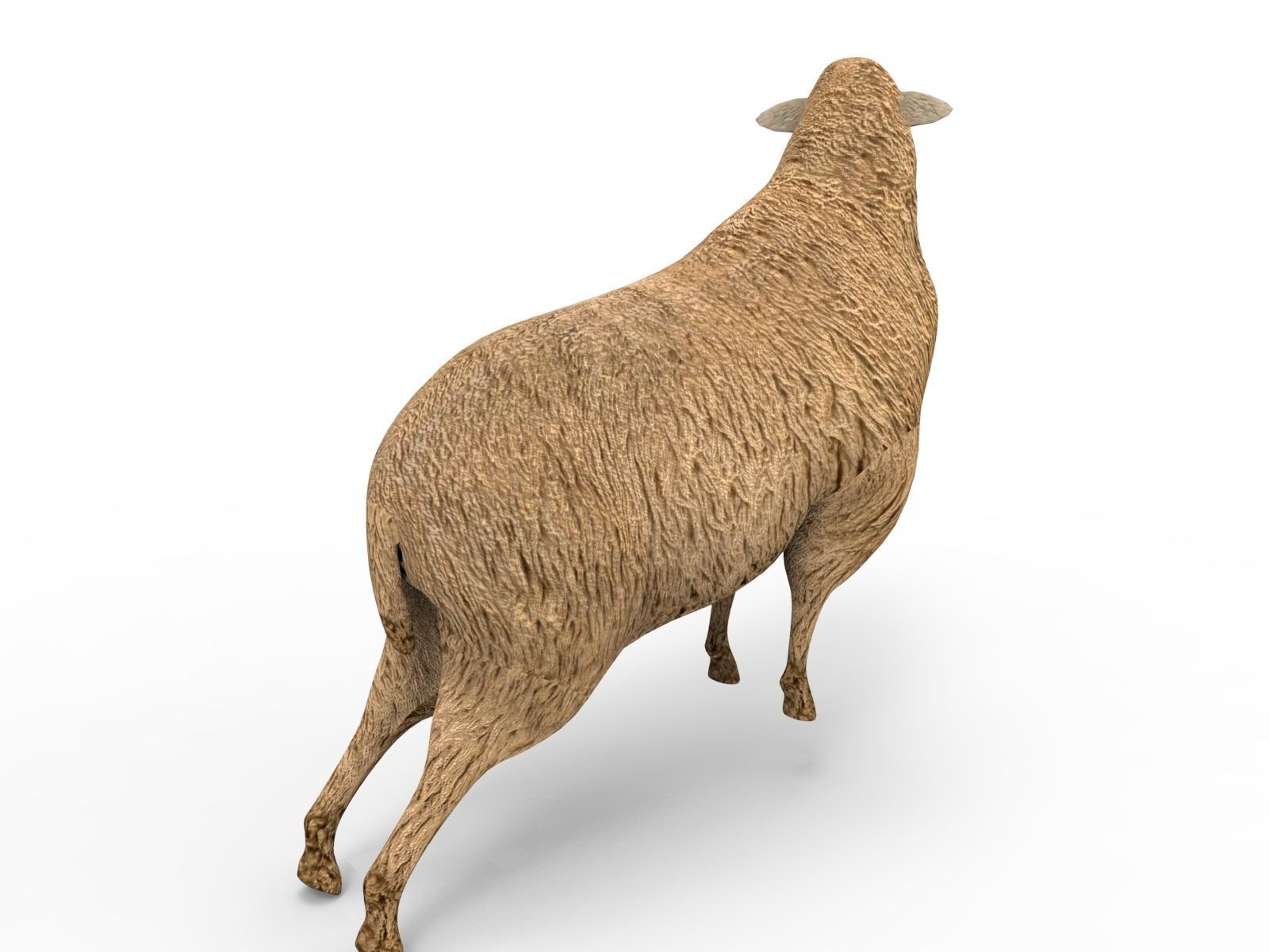 3D model Low poly 3D Sheep Rigged VR / AR / low-poly rigged | CGTrader