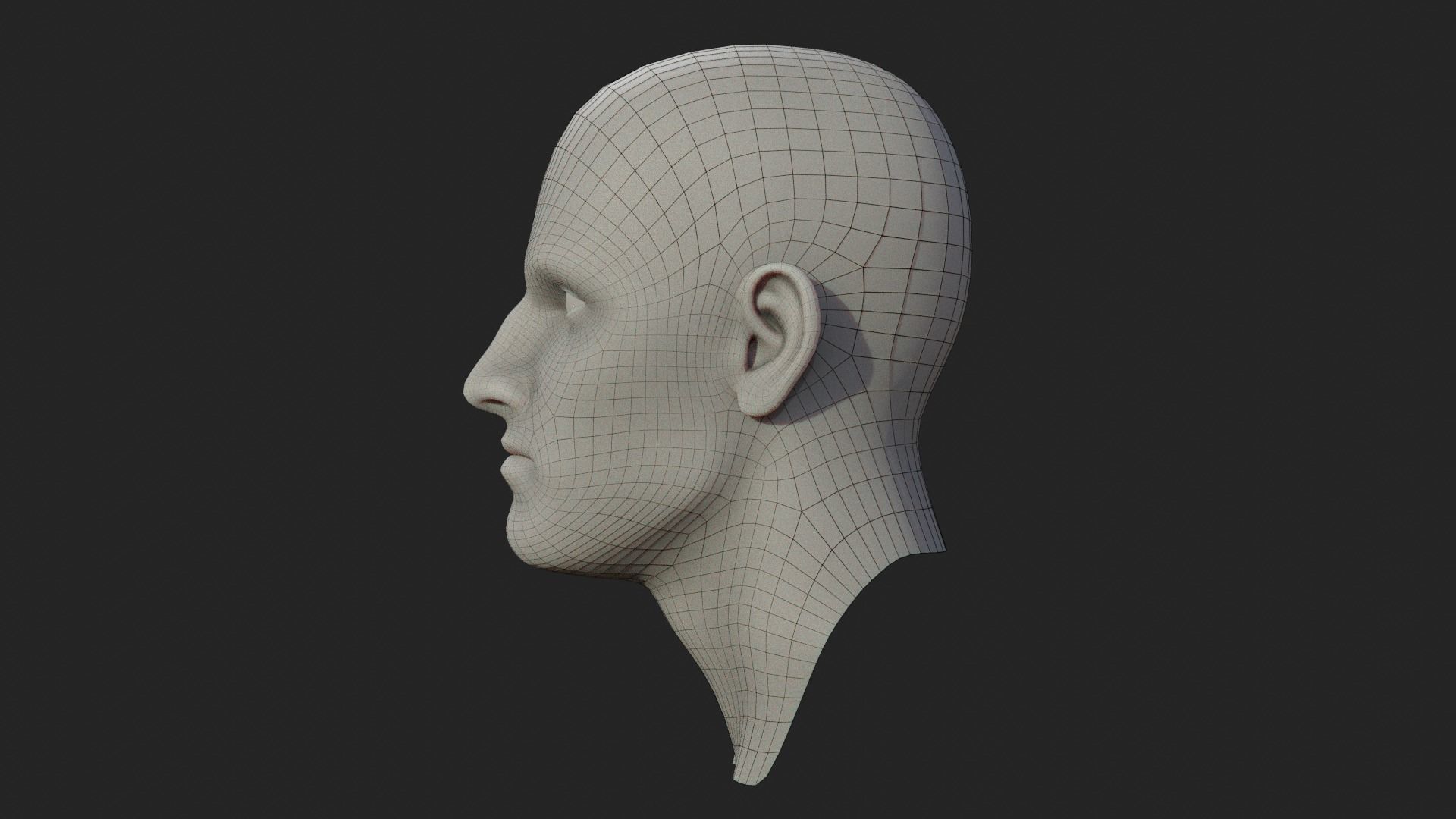 Male Head 3D model | CGTrader