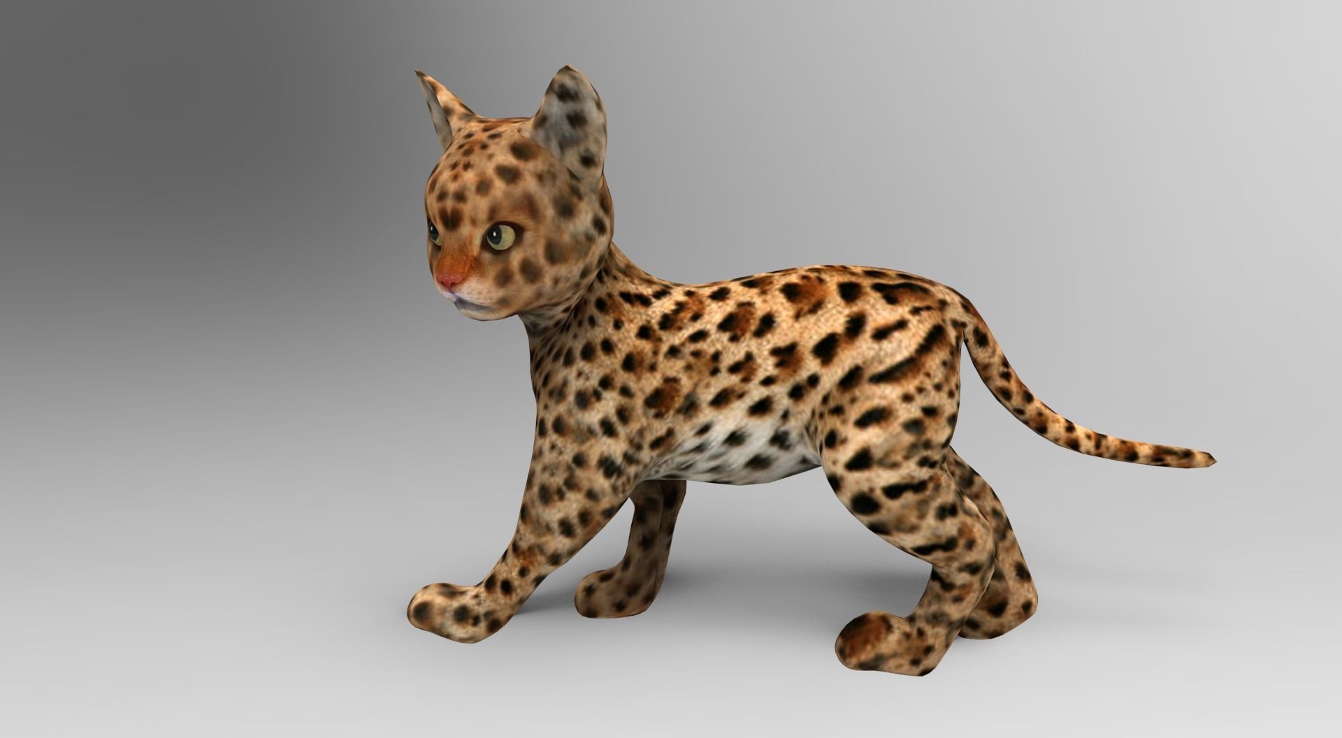3D model Wild Cat Rigged model VR / AR / low-poly rigged | CGTrader