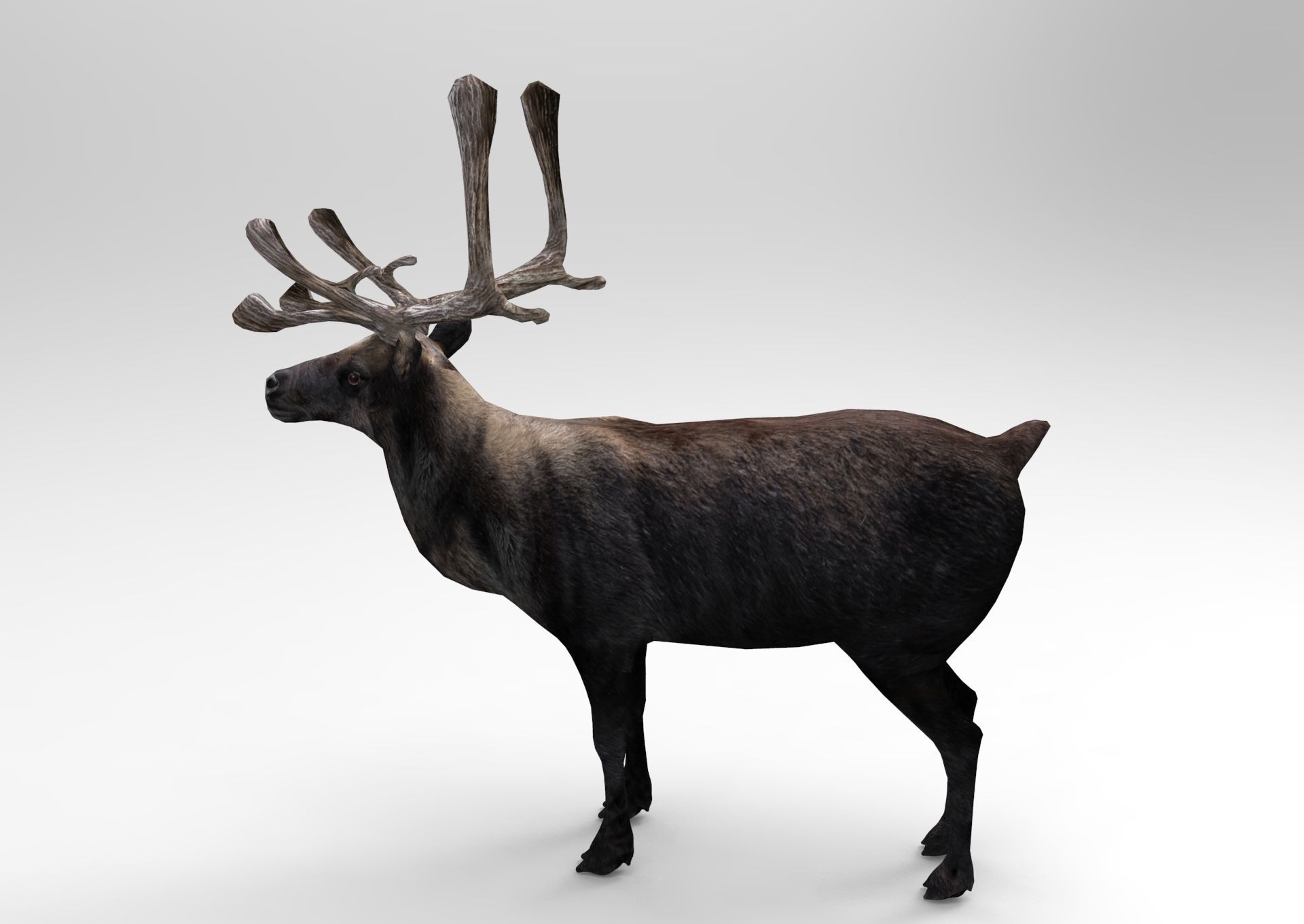 3D model Black Reindeer Rigged VR / AR / low-poly rigged | CGTrader