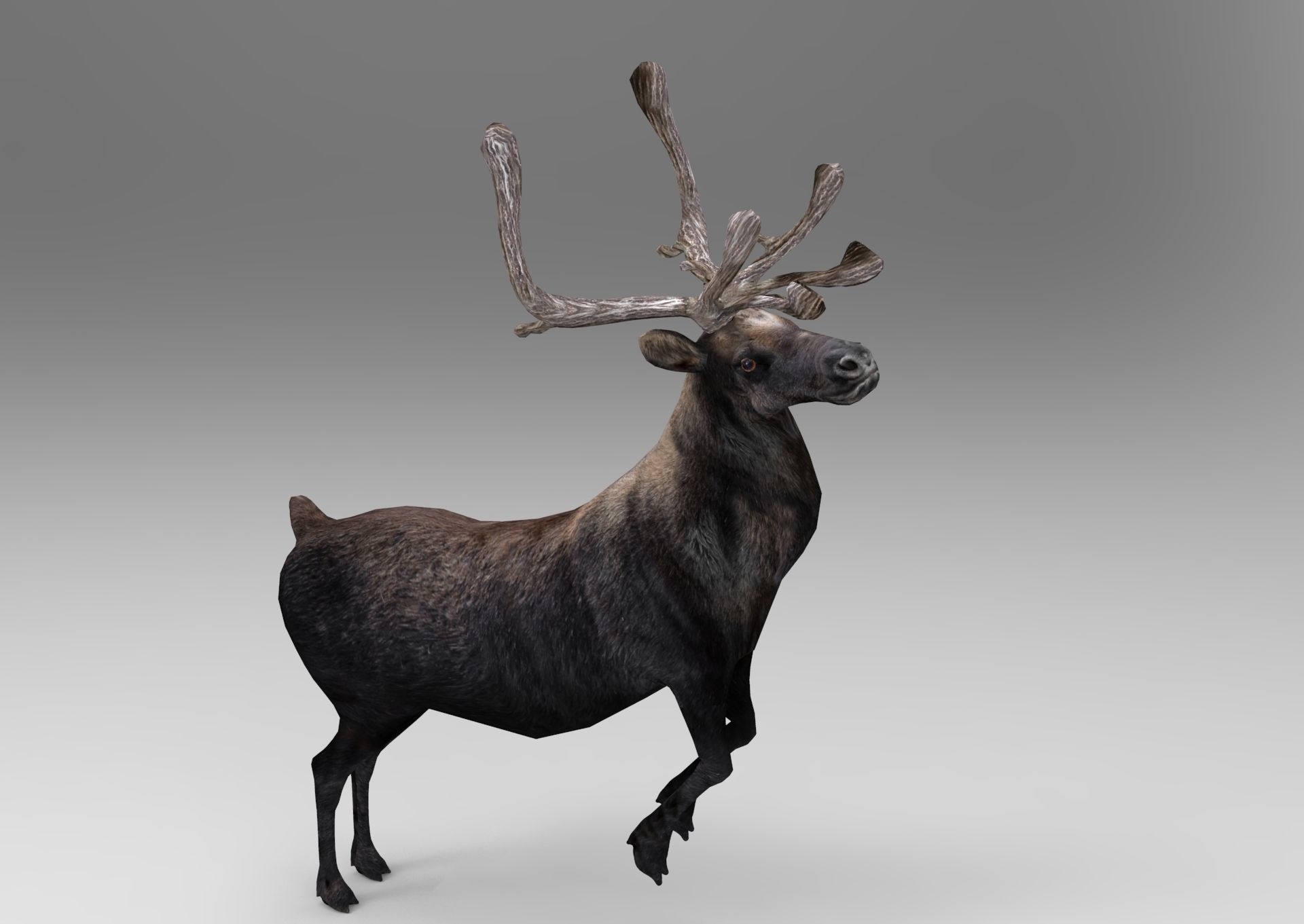 3D model Black Reindeer Rigged VR / AR / low-poly | CGTrader