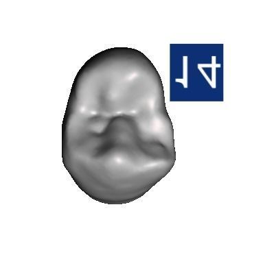 D002 Teeth Library for MeshMixer 3D model 3D printable | CGTrader