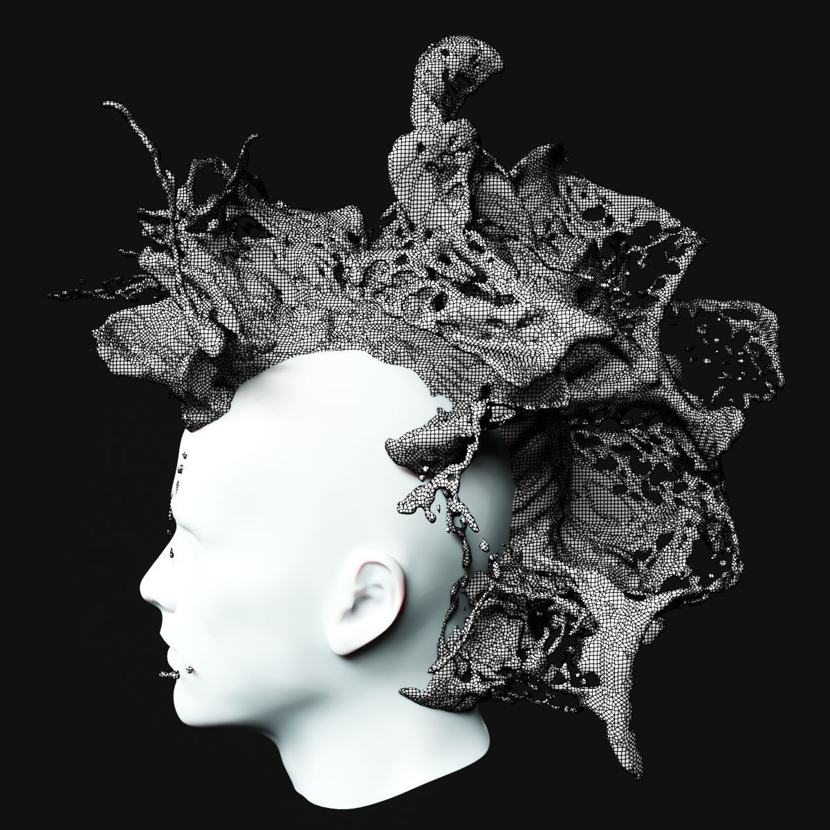 Punk Splash 1 3D model | CGTrader