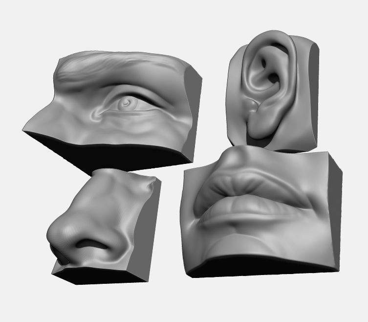 ANATOMY PACK - FACE PARTS 3D model 3D printable | CGTrader
