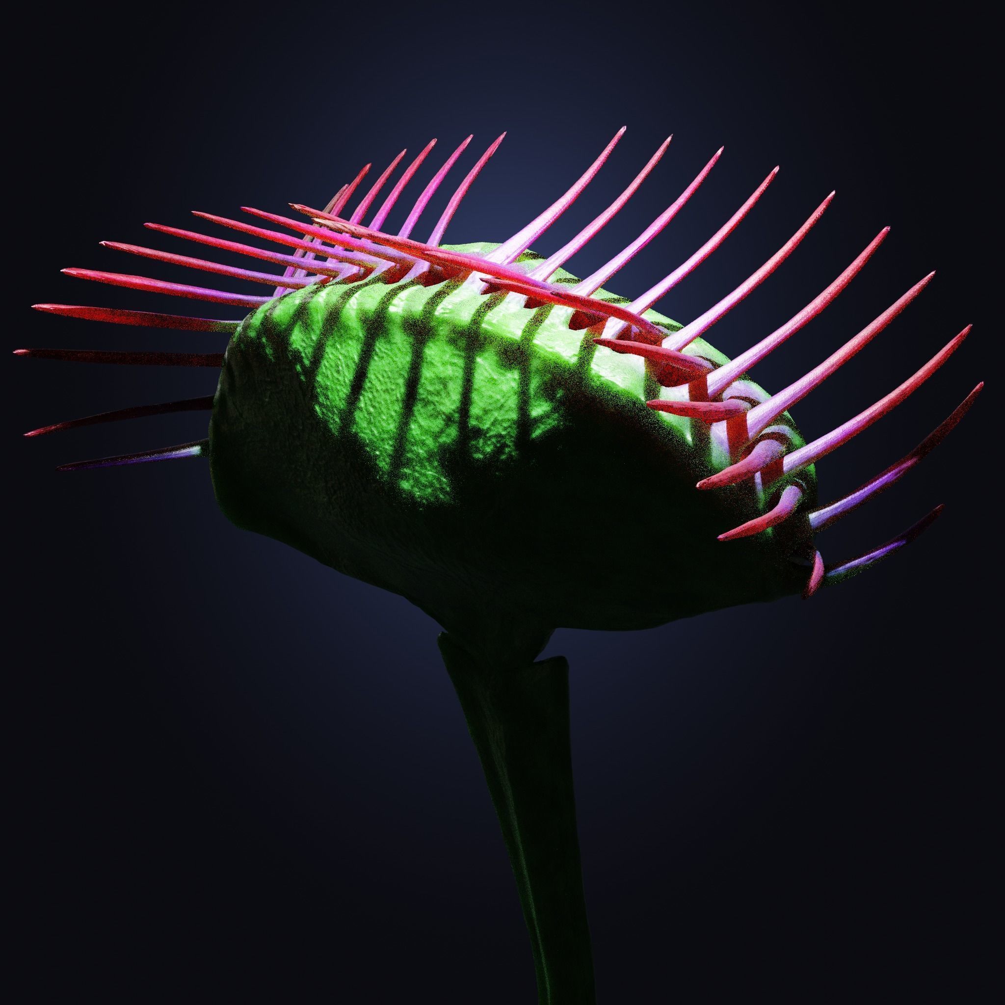 3D model Venus Fly-Trap Rigged VR / AR / low-poly | CGTrader