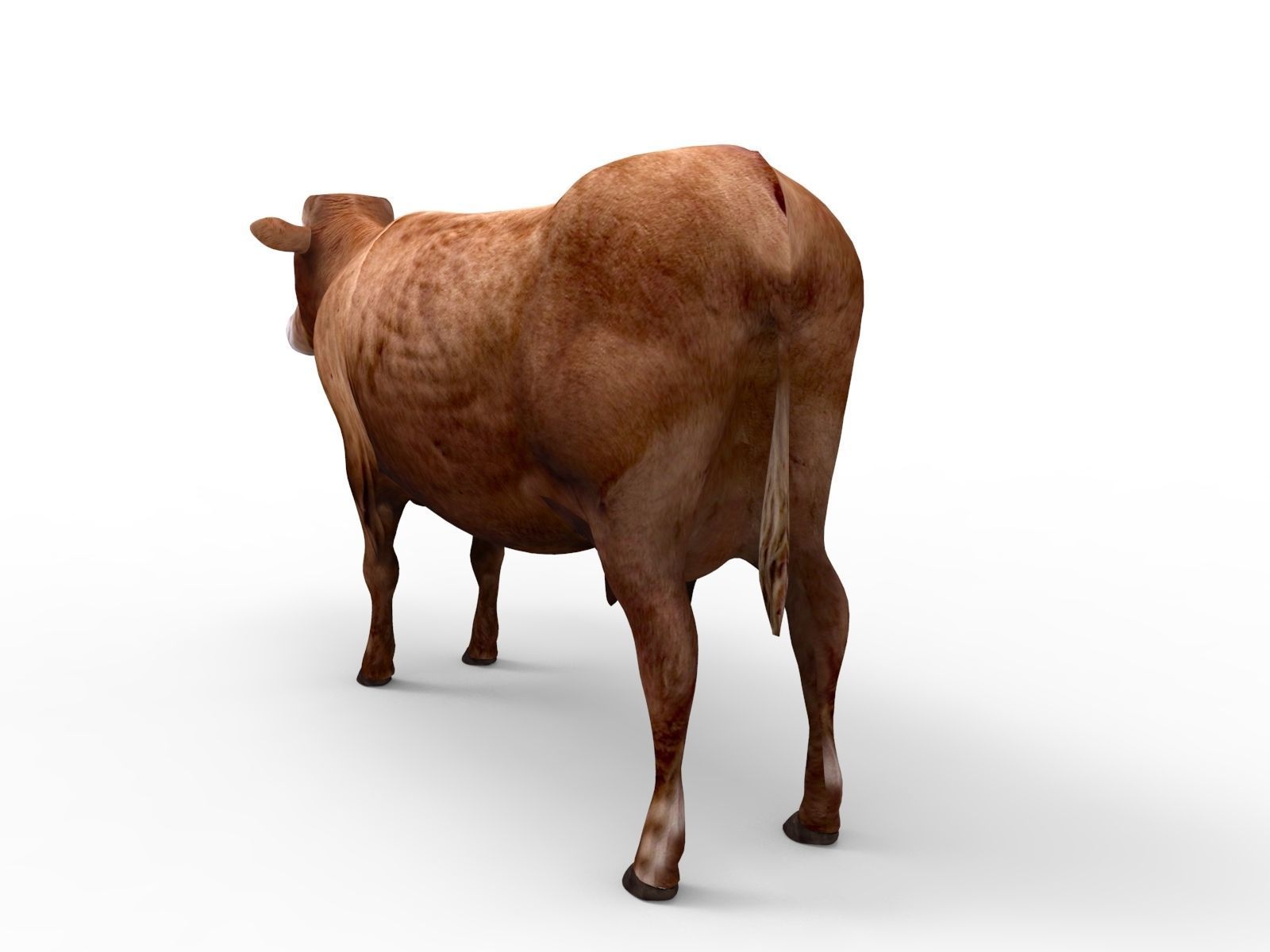 3D model Brown Cow Cattle VR / AR / low-poly | CGTrader