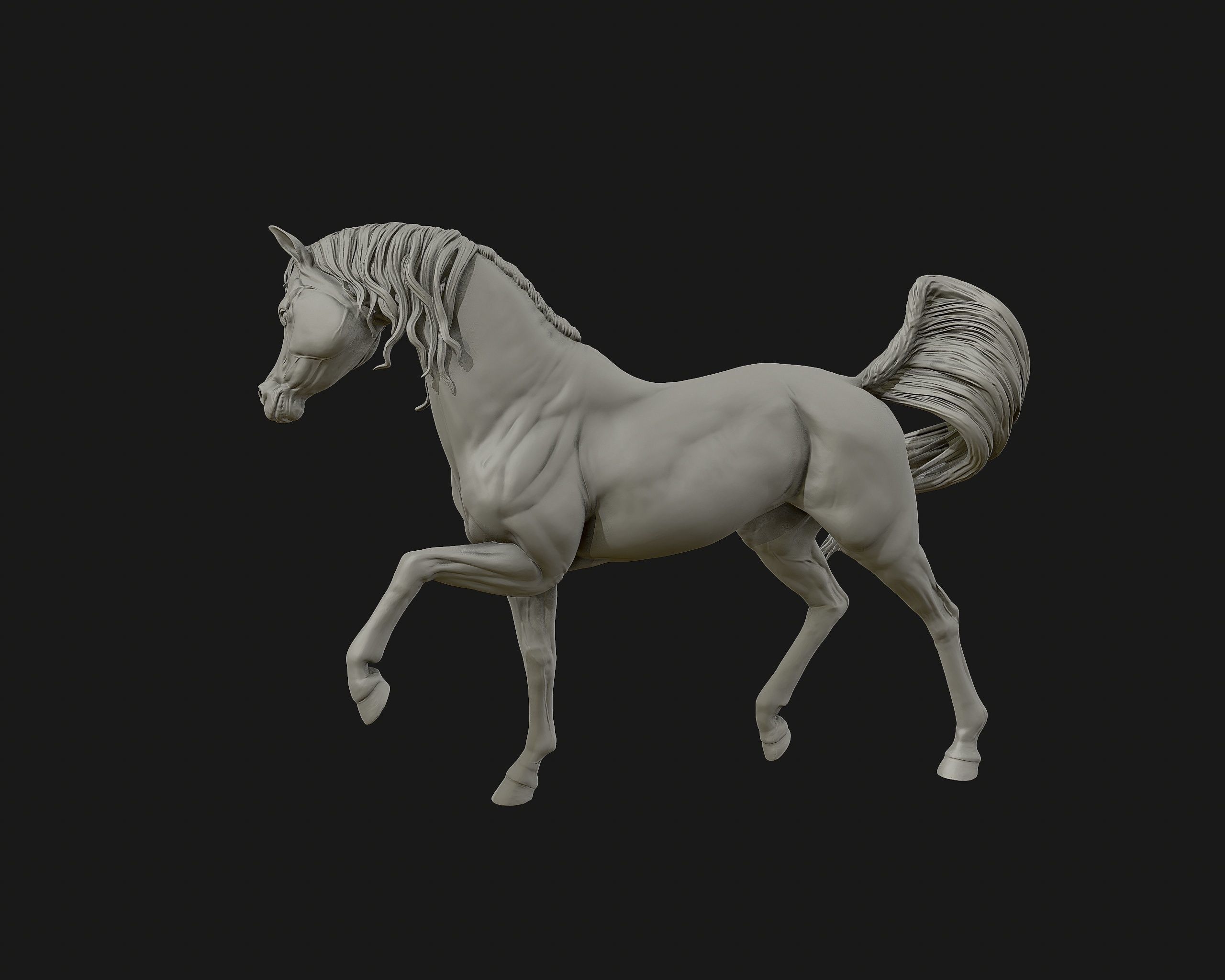 Arabian horse model 3D model 3D printable | CGTrader
