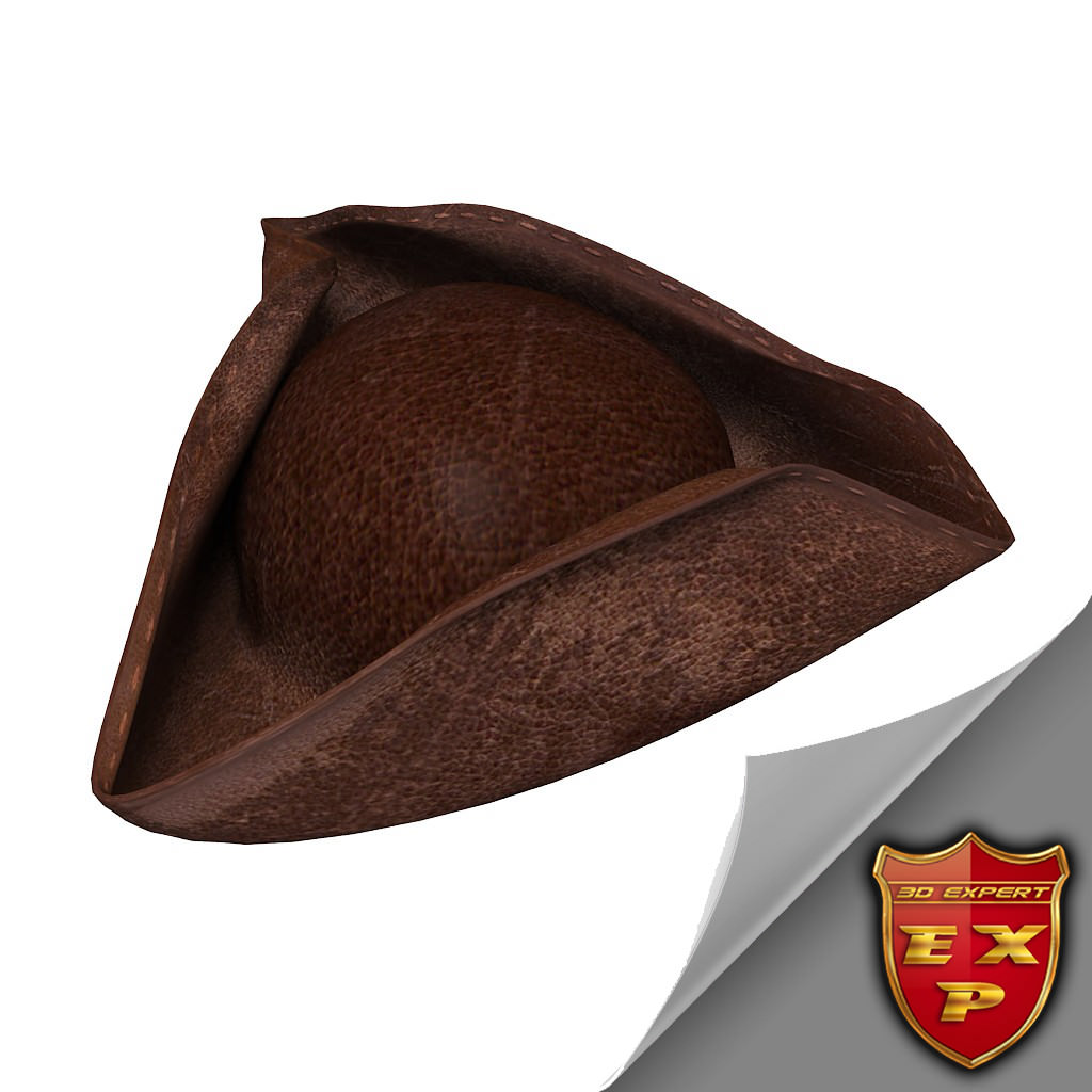 Pirate hat 3D model | CGTrader