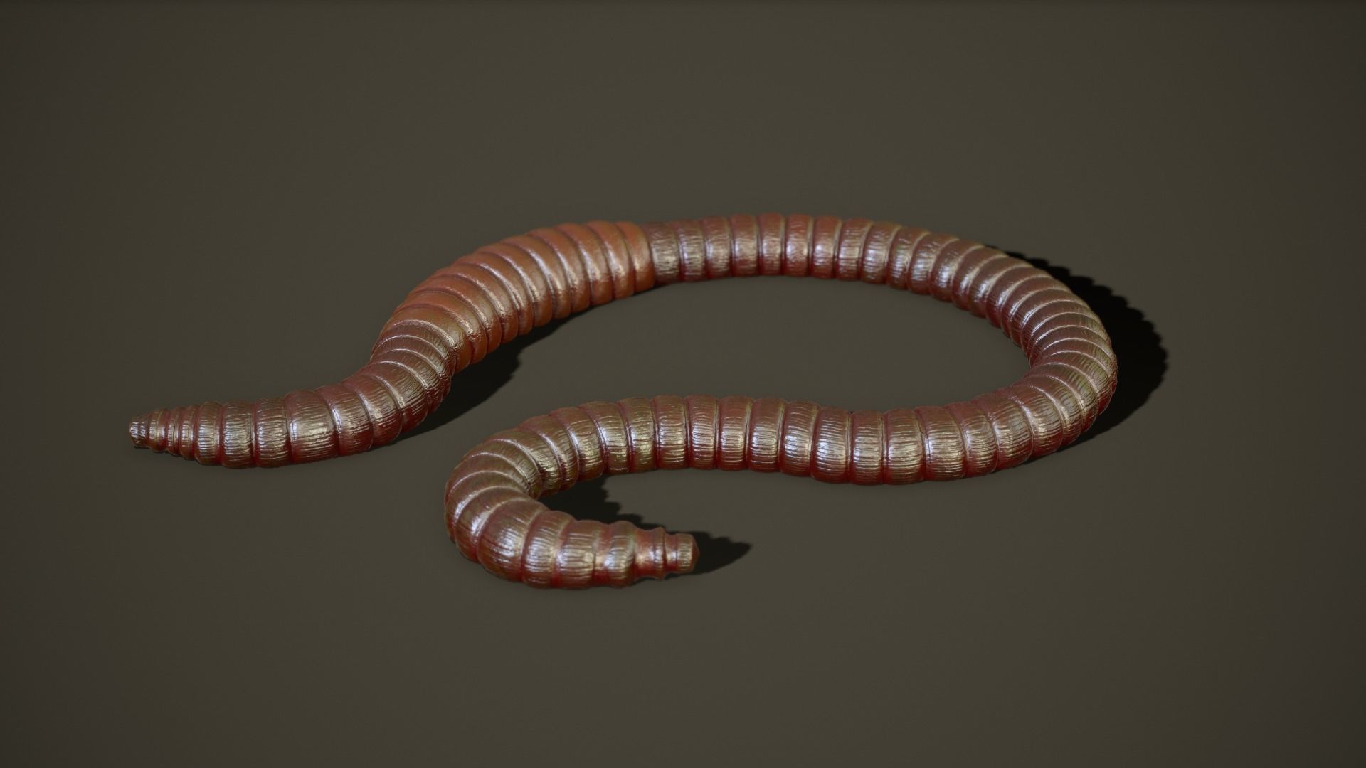 3D model Earthworms Rigged PBR VR / AR / low-poly rigged | CGTrader
