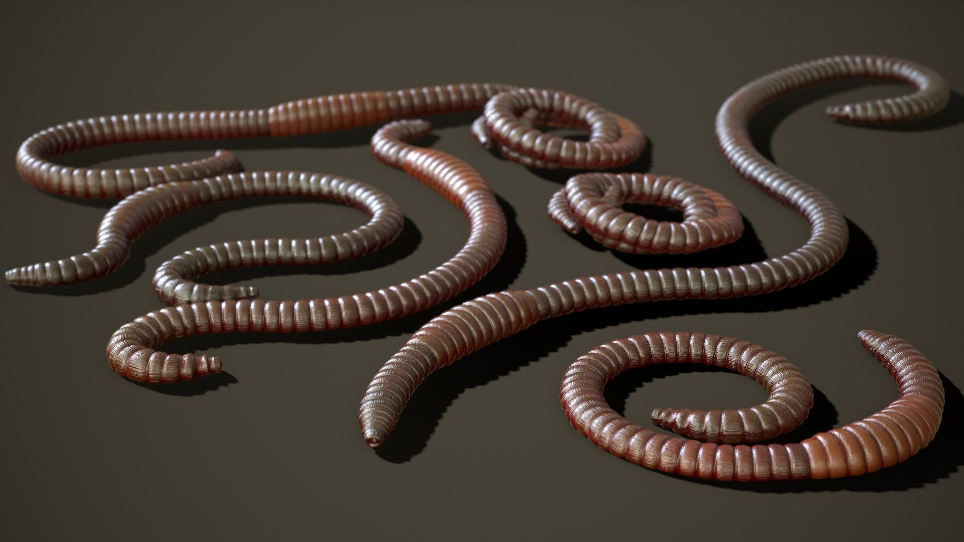 3D model Earthworms Rigged PBR VR / AR / low-poly rigged | CGTrader