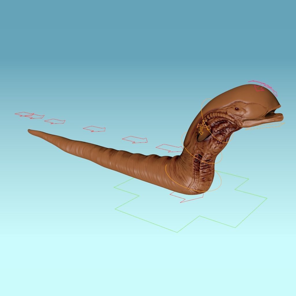 Alien Chestburster 3D model rigged | CGTrader