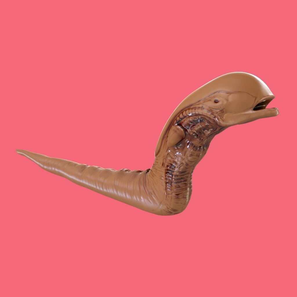 Alien Chestburster 3D model rigged | CGTrader