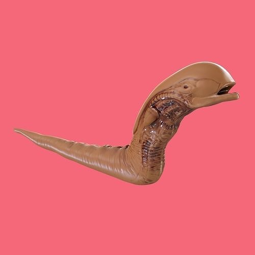 Alien Chestburster 3D model rigged | CGTrader