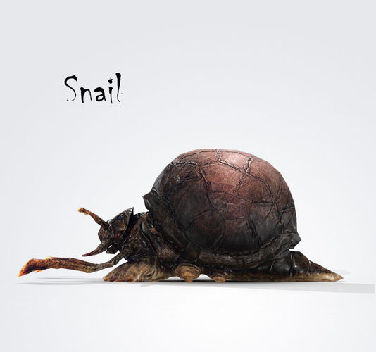 3D model Snail VR / AR / low-poly | CGTrader